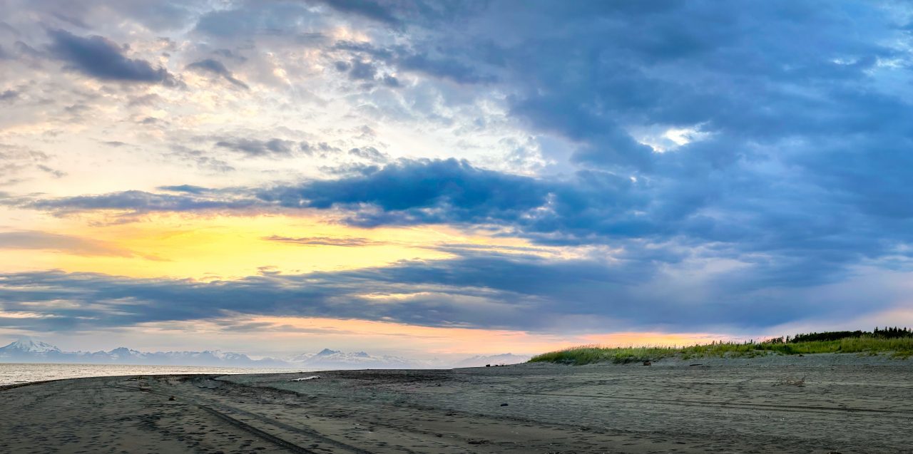 Alaska Wildlife Viewing in Kenai | I Love Kenai