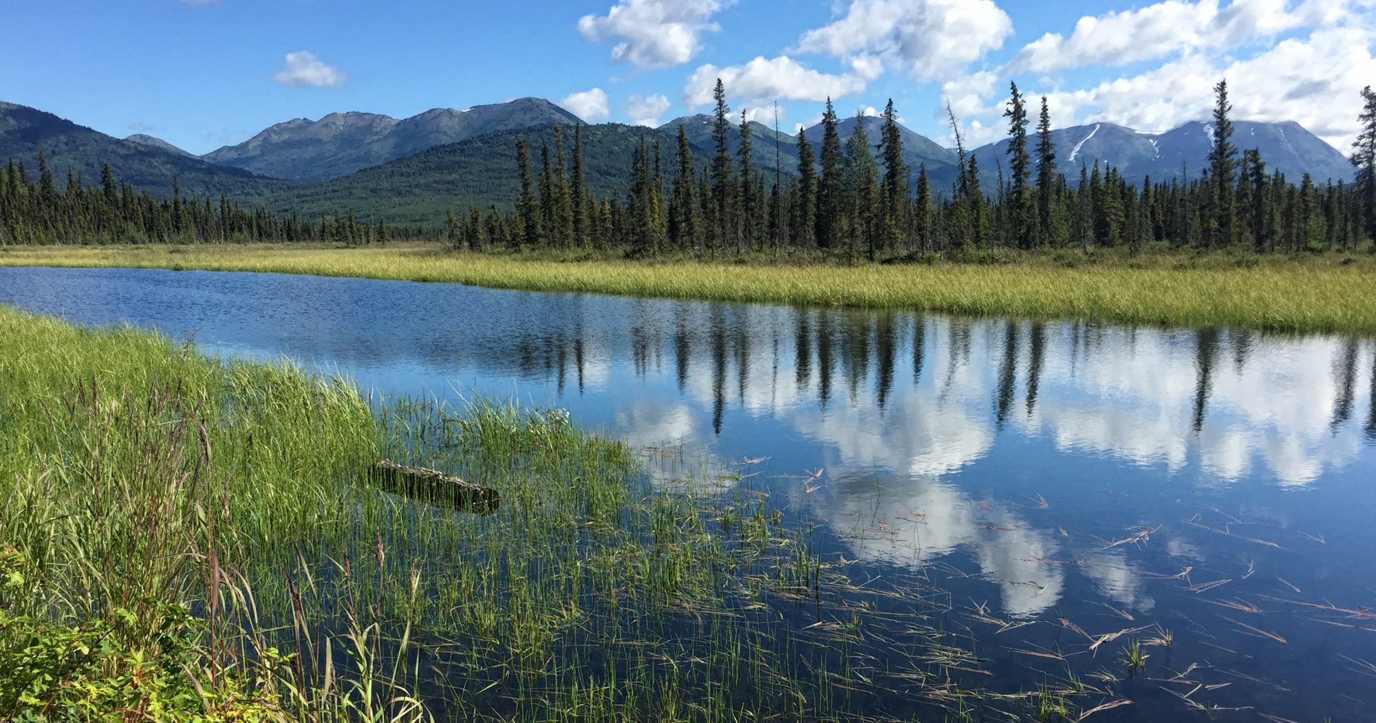 Things to Do with Family in Kenai, Alaska - I Love Kenai